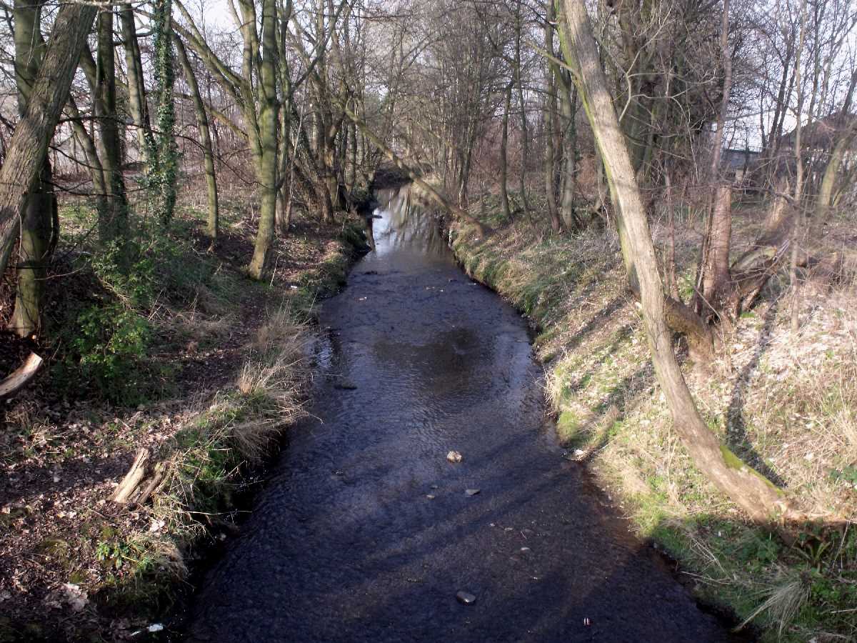 Your Place Your Space